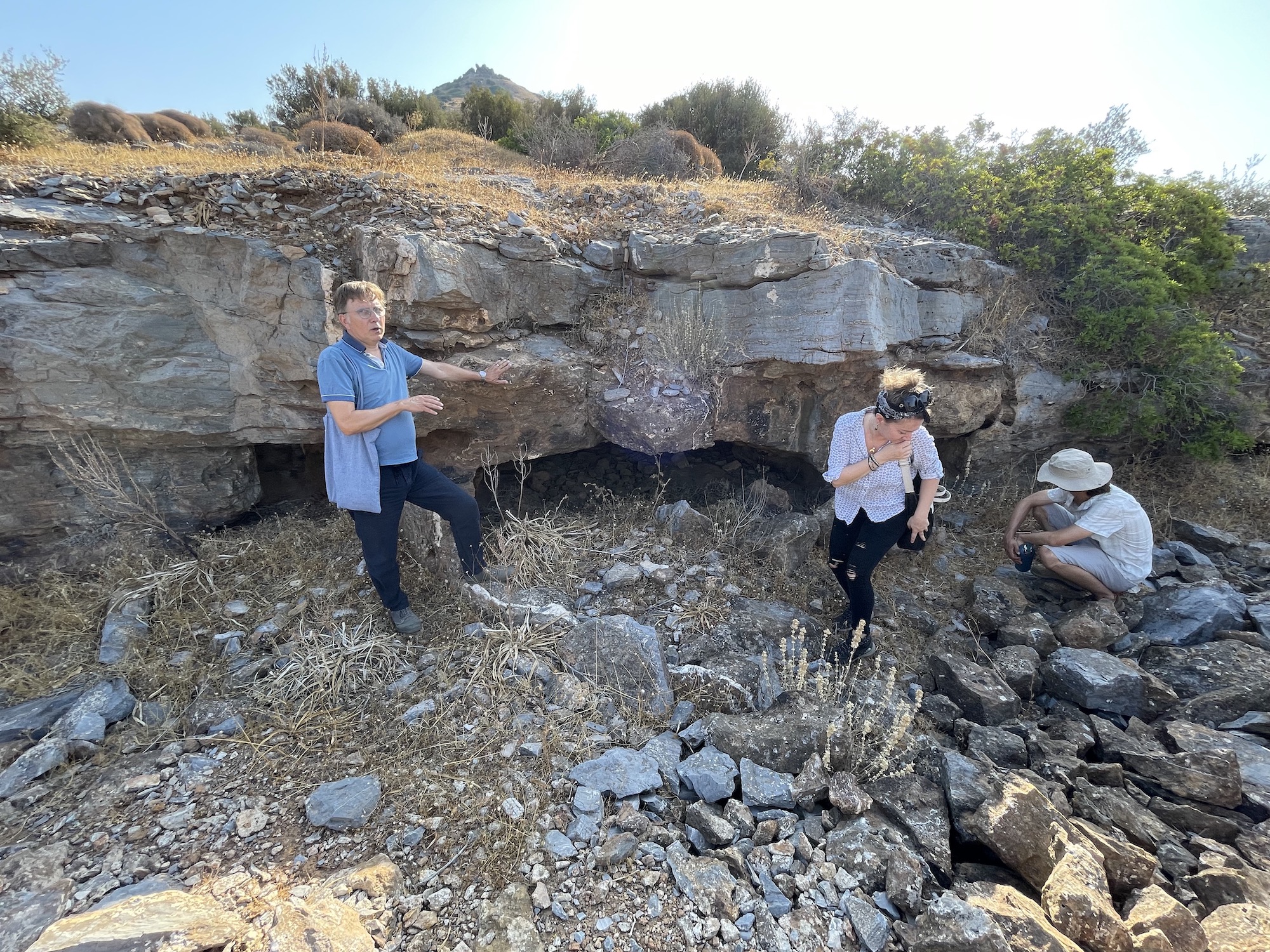 BEARS Sighting in Thorikos! – The Bays of East Attica Regional Survey
